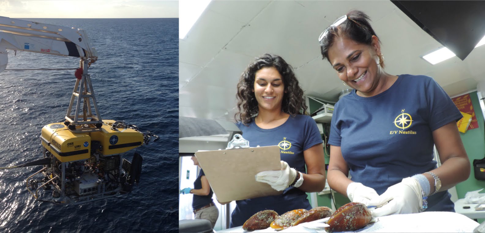 The Imperative of Ocean Exploration: Challenges and Opportunities in ...