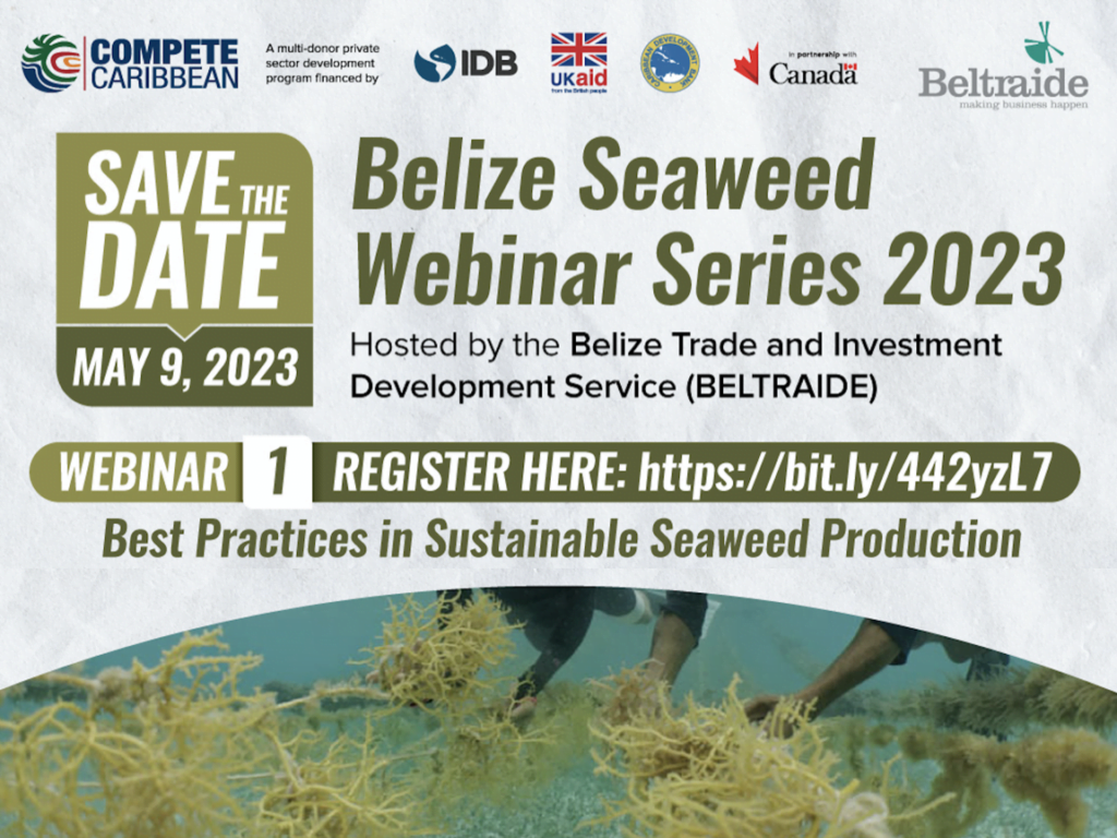 BELIZE SEAWEED WEBINAR SERIES 2023 - Compete Caribbean Partnership Facility